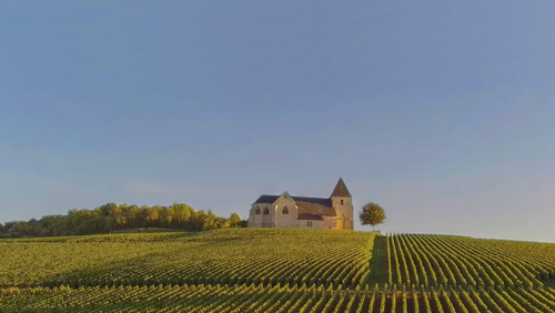 Discover Languedoc-Roussillon Wine Guide