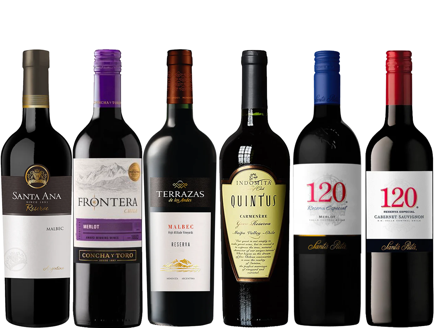 Discover Argentina & Chile 6 Bottle Case