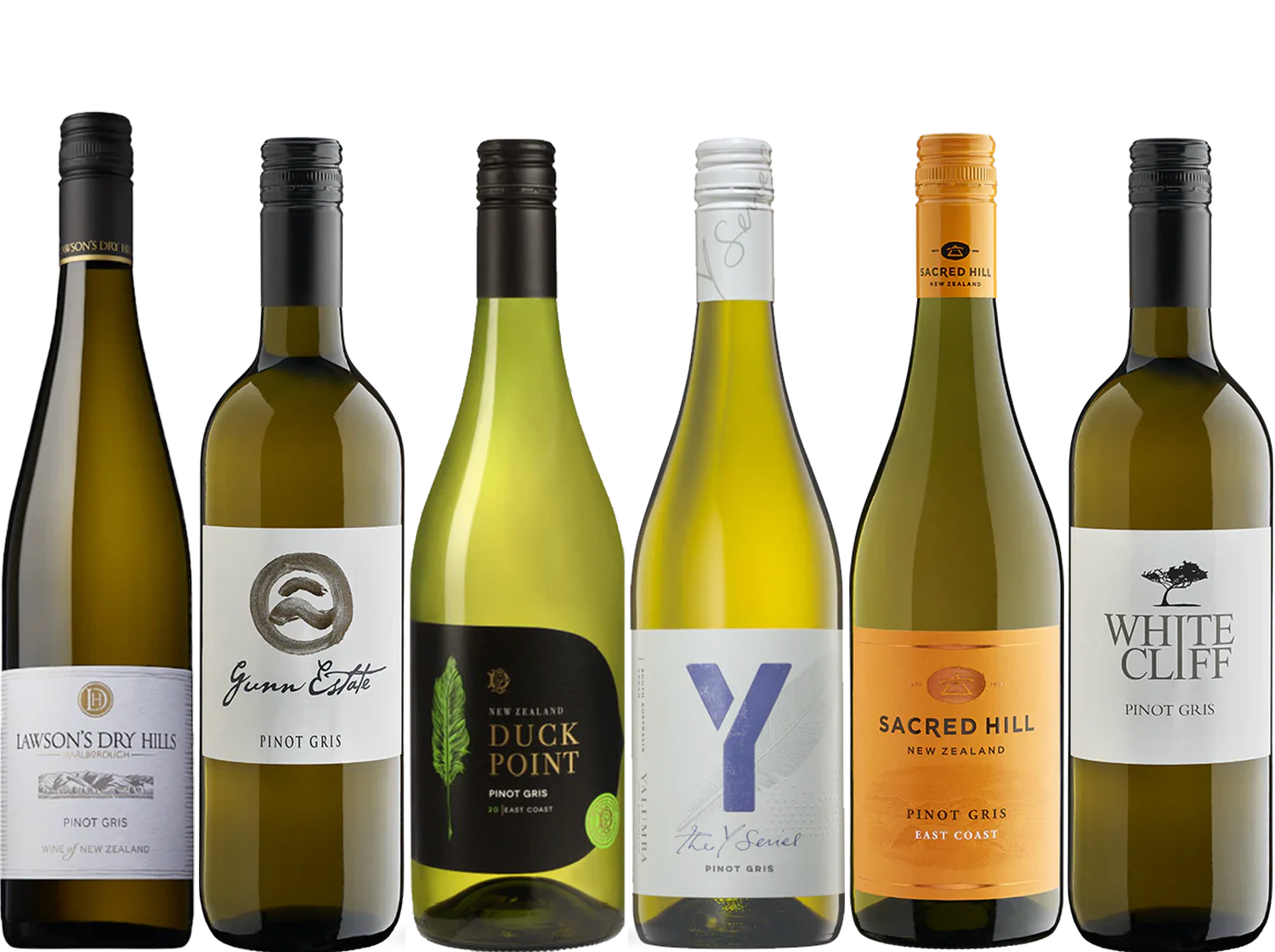 Explore Pinot Gris 6 Bottle Case